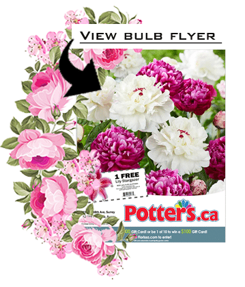 Promotions - Potters Farm & Nursery